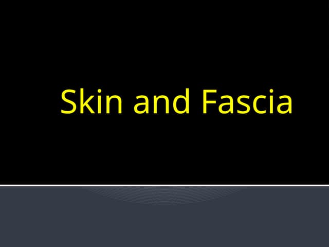 SKIN, SUPERFICIAL FASCIA AND DEEP FASCIA.pptx