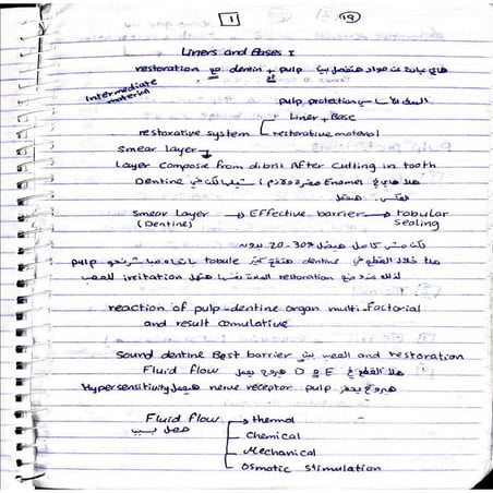 liners and bases | PDF