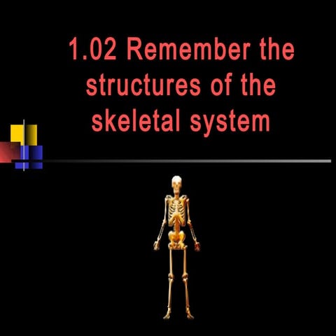 1.02 remember the_structures_of_the_skeletal_system | PPT
