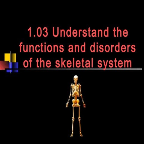 1.03 understand the_functions_and_disorders_of_the_skeletal_system ...