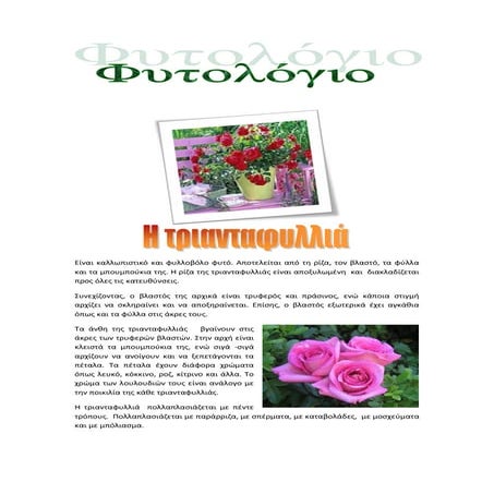 Αναρριχώμενα καλλωπιστικά φυτά | PDF