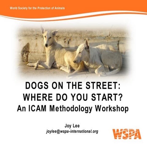1.10 Dogs on the Street: Where Do You Start? - Joy Lee | PPT