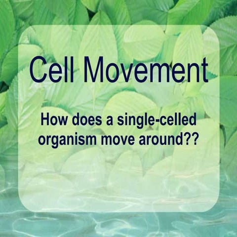 Cell Movement | PPT