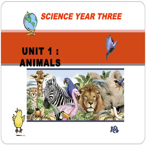 Unit 1: Animals | PPT
