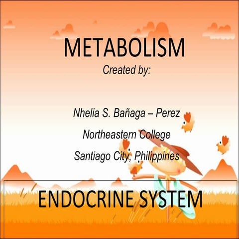 Metabolism | PPT