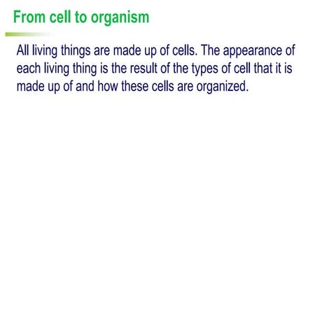 cells-tissues-organs-and-systems OF BODY.ppt