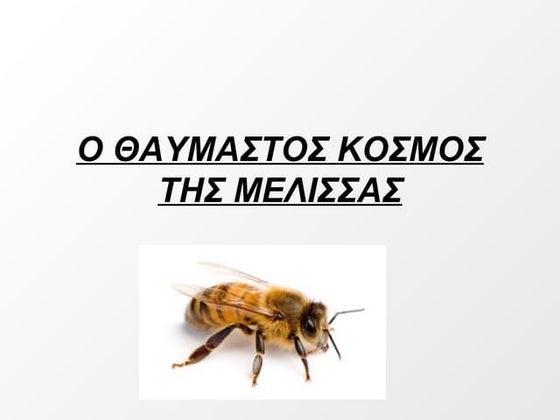 ο κυκλος ζωης της μελισσας | PPTX