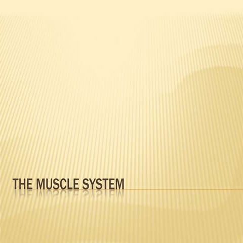 Quick Overview of the Muscle System | PPTX
