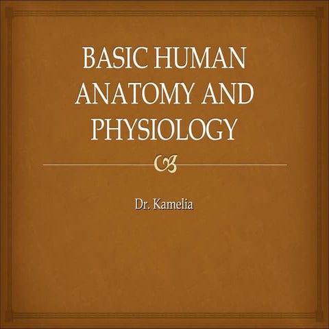 1. basic human physiology | PPT