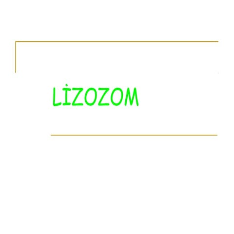 lizozom 10.10.2013