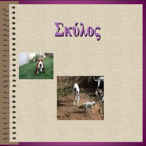 σκύλος1 | PPT