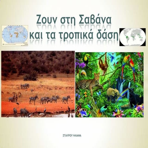 Ζουν στη Σαβάνα και στα Τροπικά Δάση | PPTX