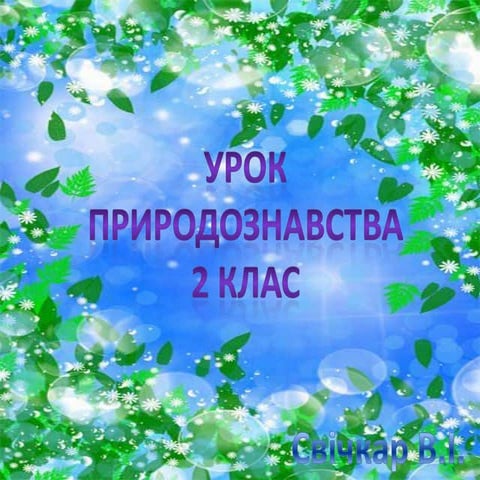 Рослини навесні. В.Свічкар | PPTX