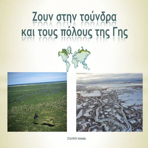 ΣΤΕΠΕΣ | PPT