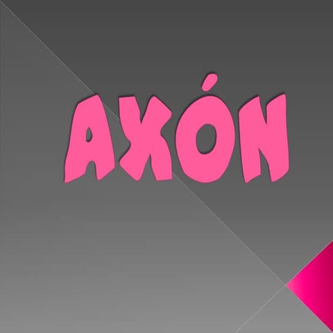 Axón | PPTX