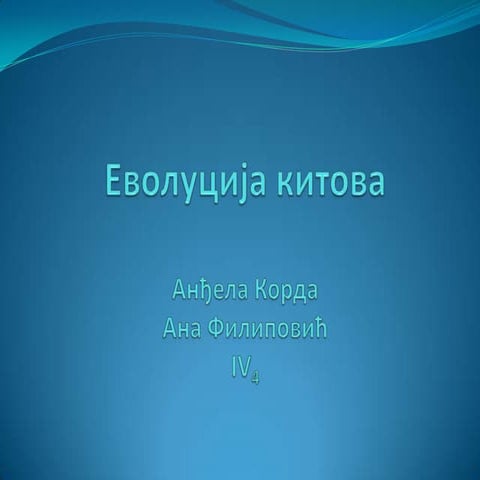 Evolucija kitova | PPTX