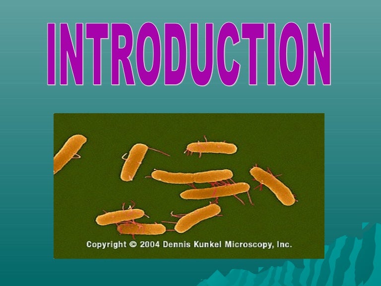 1 Introduction To Microbiology