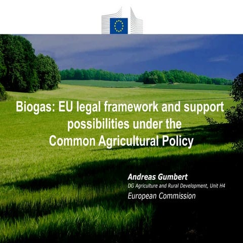 Biogas/Biomethane: EU legal framework and support possibilities under ...