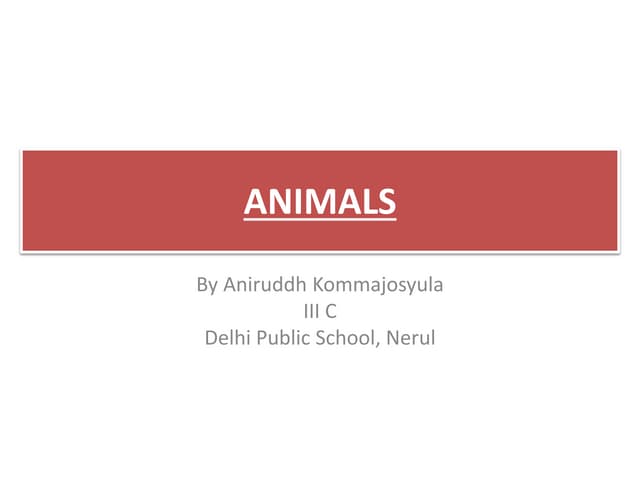 Farm.pet.wild.animals.1st grade | PPT