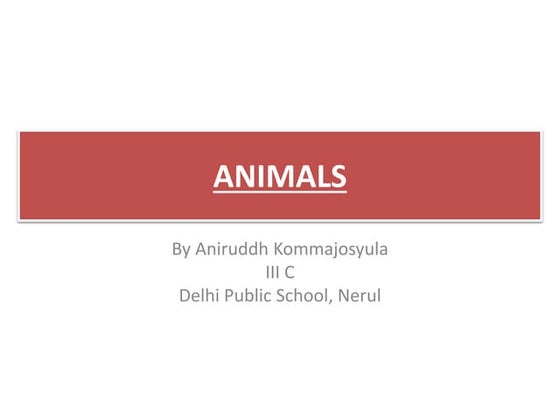 Importance of Animals in Human Life | PPTX