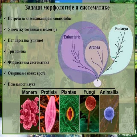 1. Zadaci morfologije i sistematike | PPTX