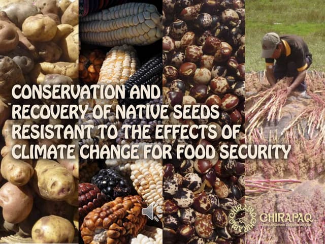 Conservation And Recovery Of Native Seeds Resistant To The Effects Of