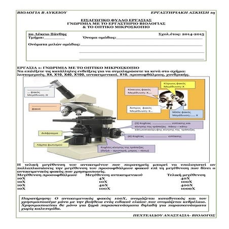 Ωριαίο διαγώνισμα Κεφ.1_ ΒΙΟΛΟΓΙΑ Α ΛΥΚΕΙΟΥ | PDF