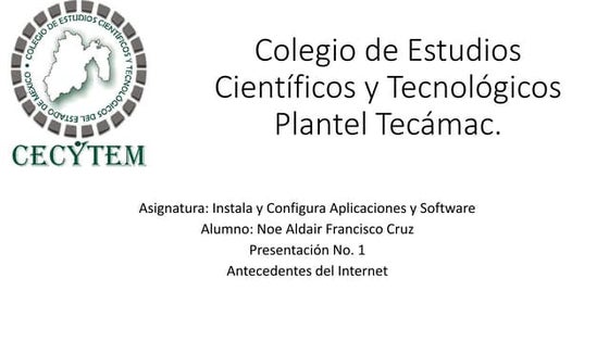 Tigse , tito organizador gràfico arbol | PPTX