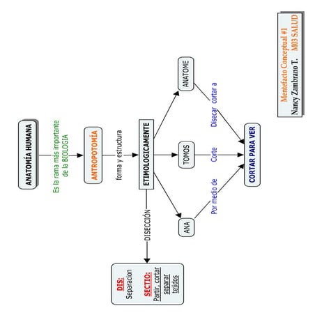 mentefacto conceptual | PDF