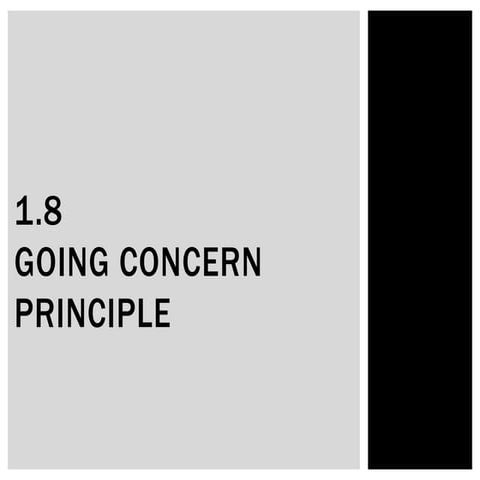 1.8 Going Concern | PPTX