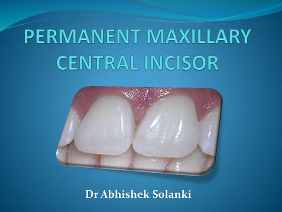 Maxillary central incisor (ORAL ANATOMY) | PPT