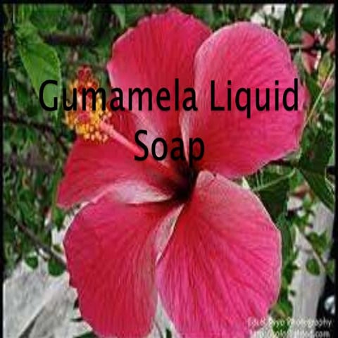 gumamela liquid soap pert-cpm | PPTX