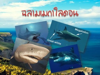 Megalodon | PPT