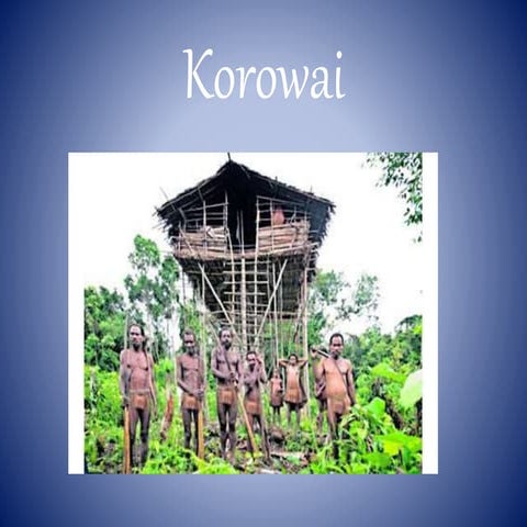 Korowai | PPTX