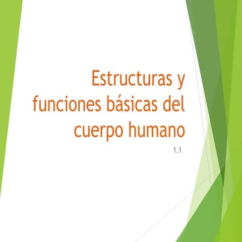 1.1 estructuras y funciones básicas del cuerpo humano | PPT