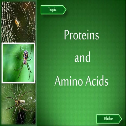 Protein And Amino Acids Ppt