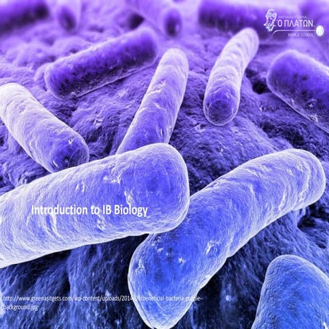 Introduction to IB Diploma Biology | PPTX