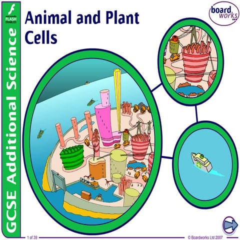 1. animal and plant cells v1.0 | PPT