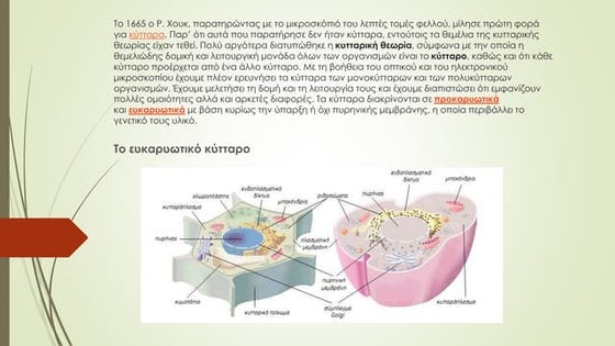 Κυτταρική διαίρεση - Μίτωση | PPT