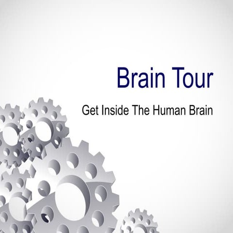 Brain Tour | PPT