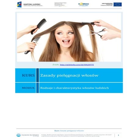 The effects of different colouring products on the | PPTX