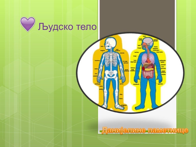 људско тело 1