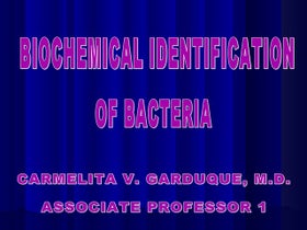 Biochemical test of bacteria | PPT