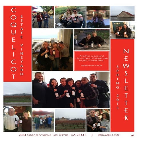 CV OF PJ COMBRINCK | PDF