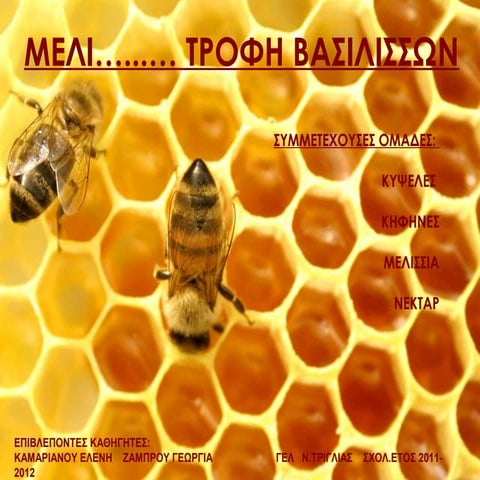1 ΙΣΤΟΡΙΑ ΜΥΘΟΛΟΓΙΑ Ppt