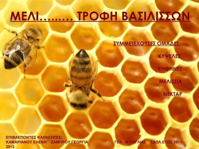 1 ΙΣΤΟΡΙΑ ΜΥΘΟΛΟΓΙΑ Ppt