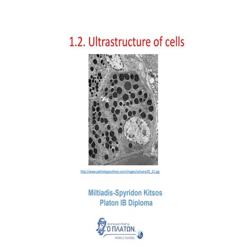 1.2. Cell ultrastructure | PPTX