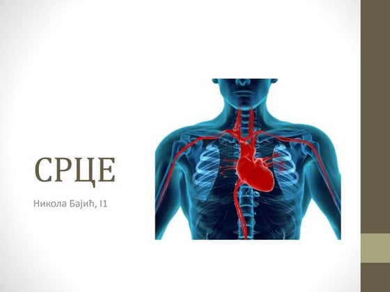 Cirkulatorni sistem srce, krvi sudovi, limfni sudovi | PPT