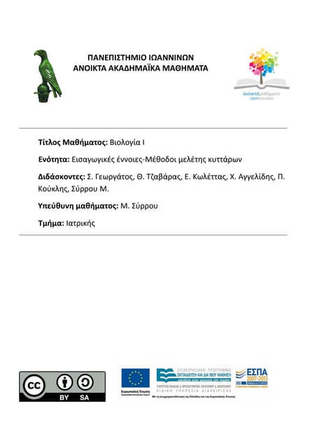 δομη του ευκαρυωτικου κυτταρου | PPT