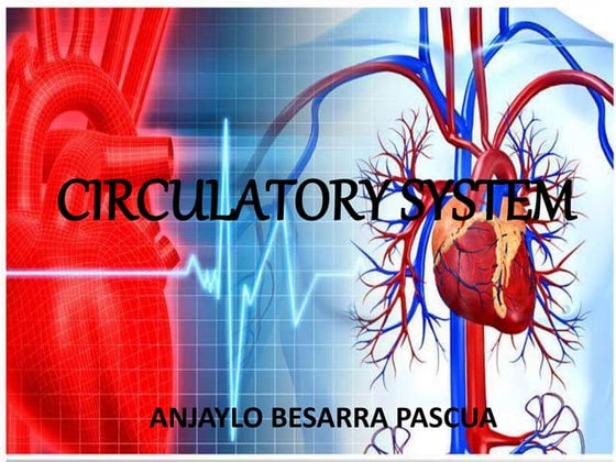 Circulatory system | PPT